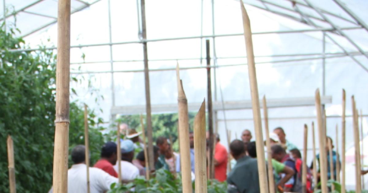 Operating structure | ACIAR